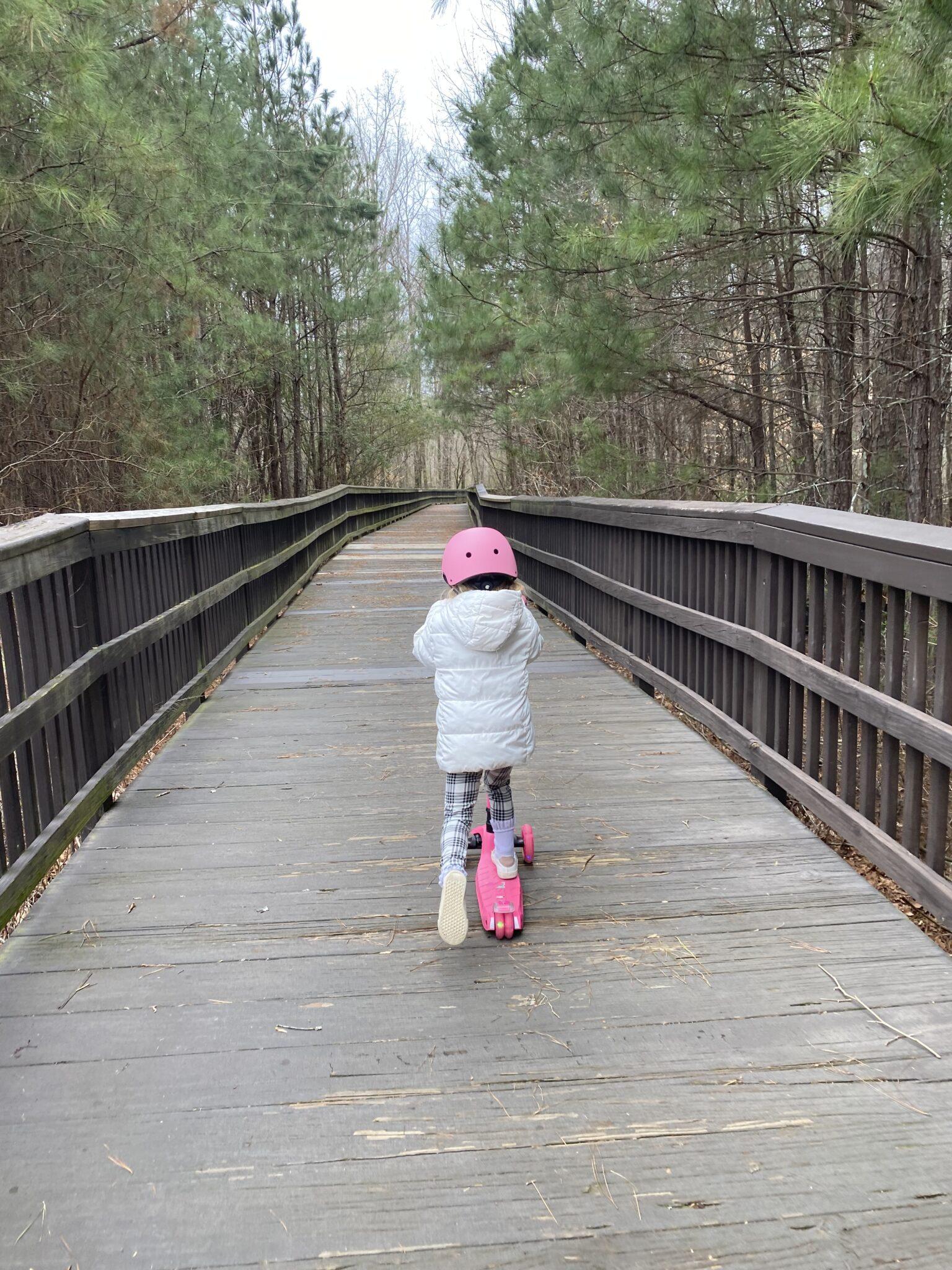 Atlanta's Urban Forest | Exploring The Big Creek Greenway