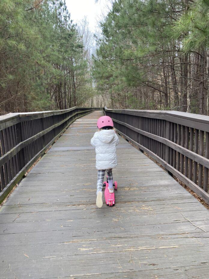 Atlanta's Urban Forest | Exploring The Big Creek Greenway